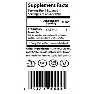 Daily Dental Care Fresh Mint Dental Mints - A Dental prebiotic Smart Mint - superpowering Good Oral Bacteria to Balance The Oral microbiome for Dental Health - 90ct