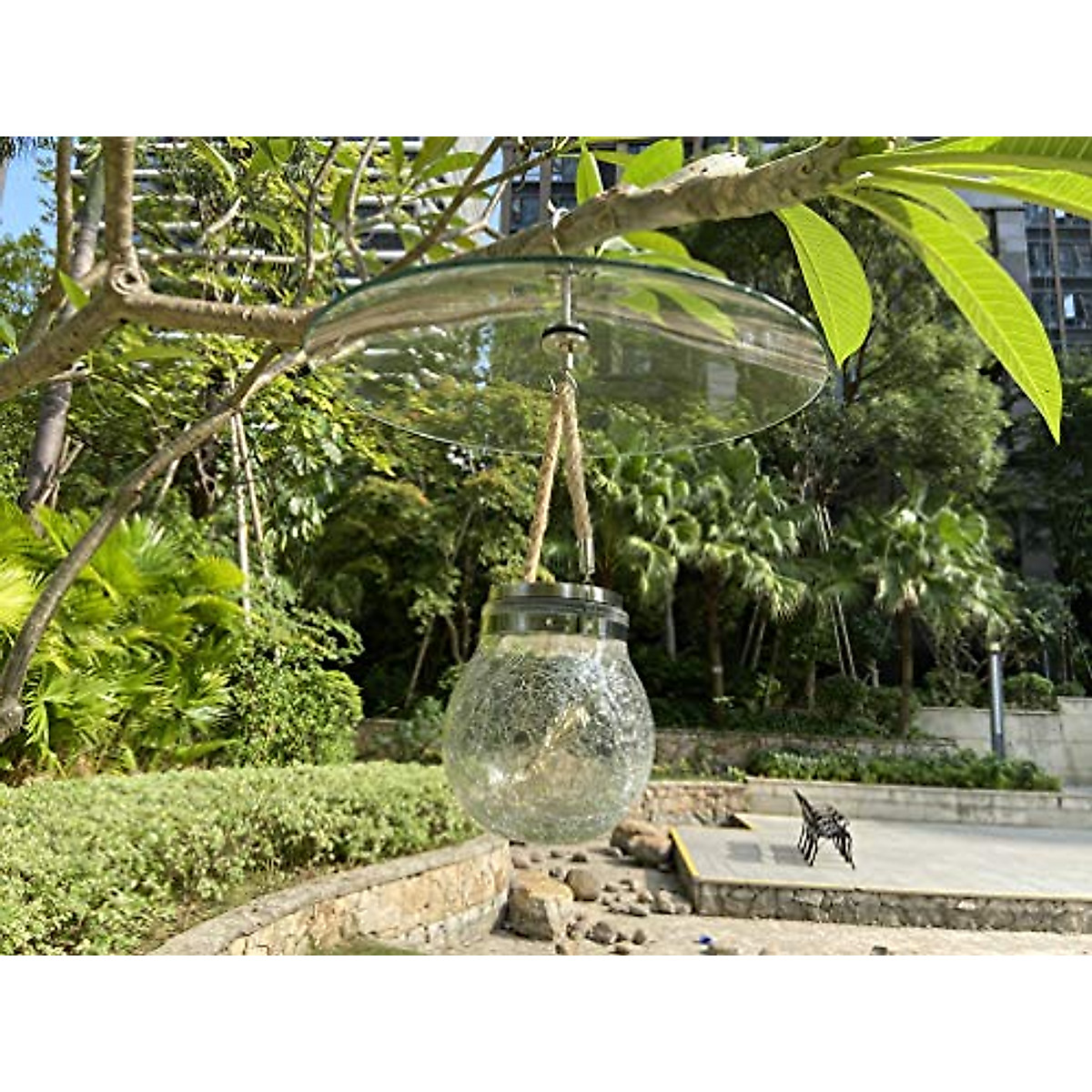 13 Inches Clear Glass Weather Guard and Squirrel Baffler for Wild Bird Feeders (Clear 1Pack)