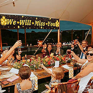 Ushinemi We Will Miss You Banner, Farewell, Going Away, Goodbye, Retirement Party Decorations, 9.8x1.6 Feet