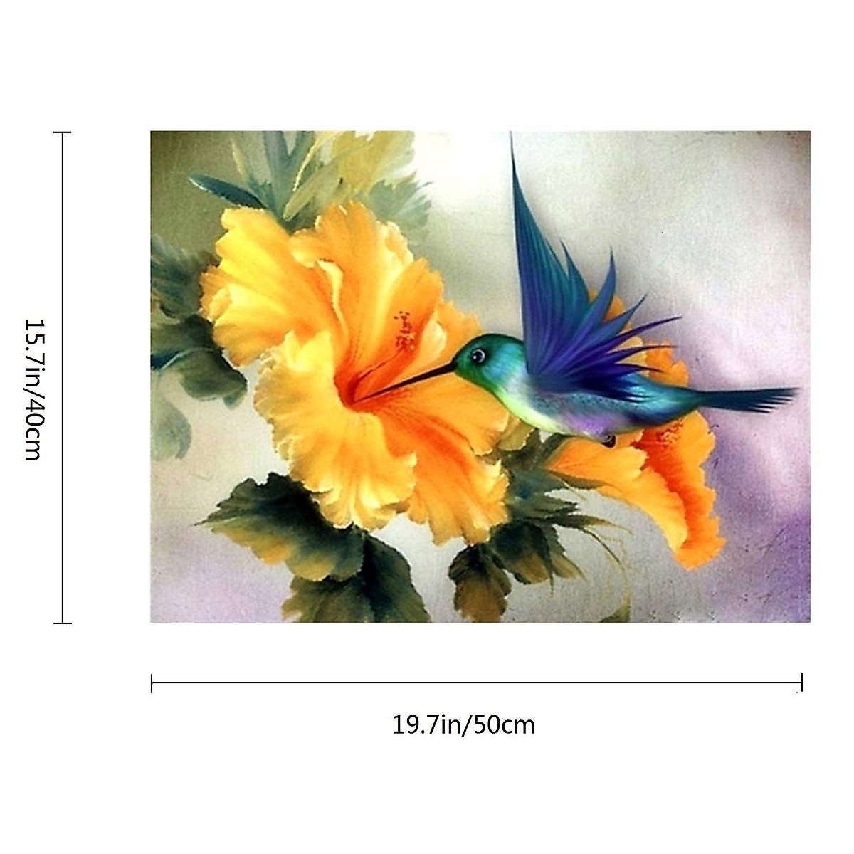 ACANDYL Paint by Numbers Paint by Number for Adults Paint by Numbers Kit for Adults Beginner Hummingbird Paint by Number Kit Acrylic Paint Kit Wall Home Decoration 16x20 Inch