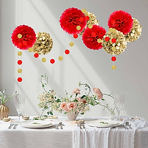 ANSOMO Red and Gold Party Decorations Paper Fans Lanterns Tissue Pom Poms Wall Hanging Decor Supplies Bridal Baby Shower Birthday Wedding Graduation