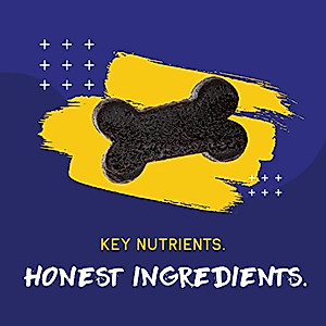 PupGrade Daily Multivitamin for Dogs - All-in-One Supplement for Digestive, Immune, Skin and Coat Health - 32 Healthy Nutrients, Probiotic Enzymes, Omega Fish Oil, Vitamins A, C, D & E - 30 Soft Chews