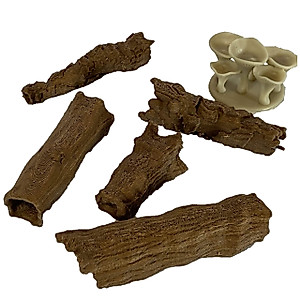 Extruded Gaming Hollow Oak Logs with Giant Fungus