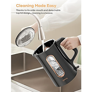 Electric Kettle, 304 Stainless Steel Interior, BPA-Free, Double Wall 1.5L Hot Water Boiler, 1500W Tea Kettle with Auto Shut-Off & Boil Dry Protection, Cordless Base & LED Indicator