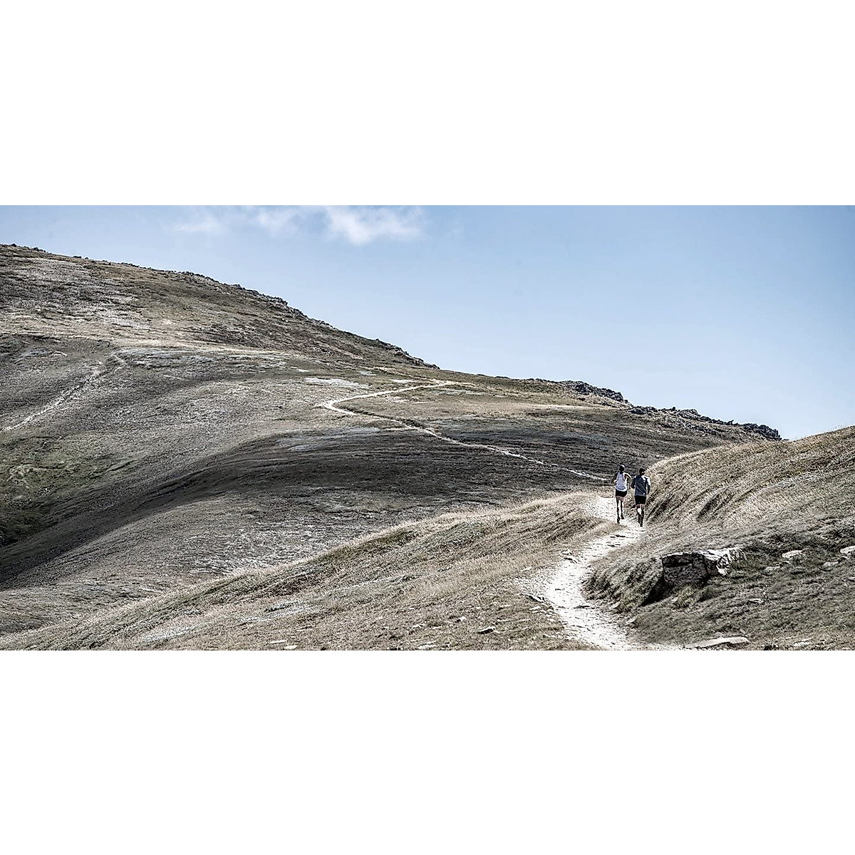 Le Bent Ultra Light Mini Trail Merino Wool Sock for Trail Running, Road Running, and Hiking - Black Iris - Medium