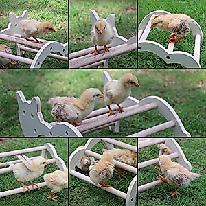 Chick Perch Roost 4 Pack , Natural Wood Chicken Roosting Bar for Coop Chick and Baby Birds , Chicken Wood Stand Training Perch Chick Toys for Brooder