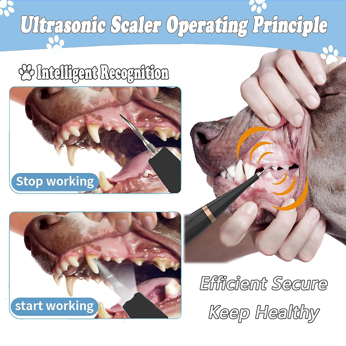 FZChenrry Plaque Remover for Teeth,Pet Ultrasonic Cleaner,Teeth Cleaning Kit for Tartar and Stains,5 Modes with Dental Tools Scaler Scraper