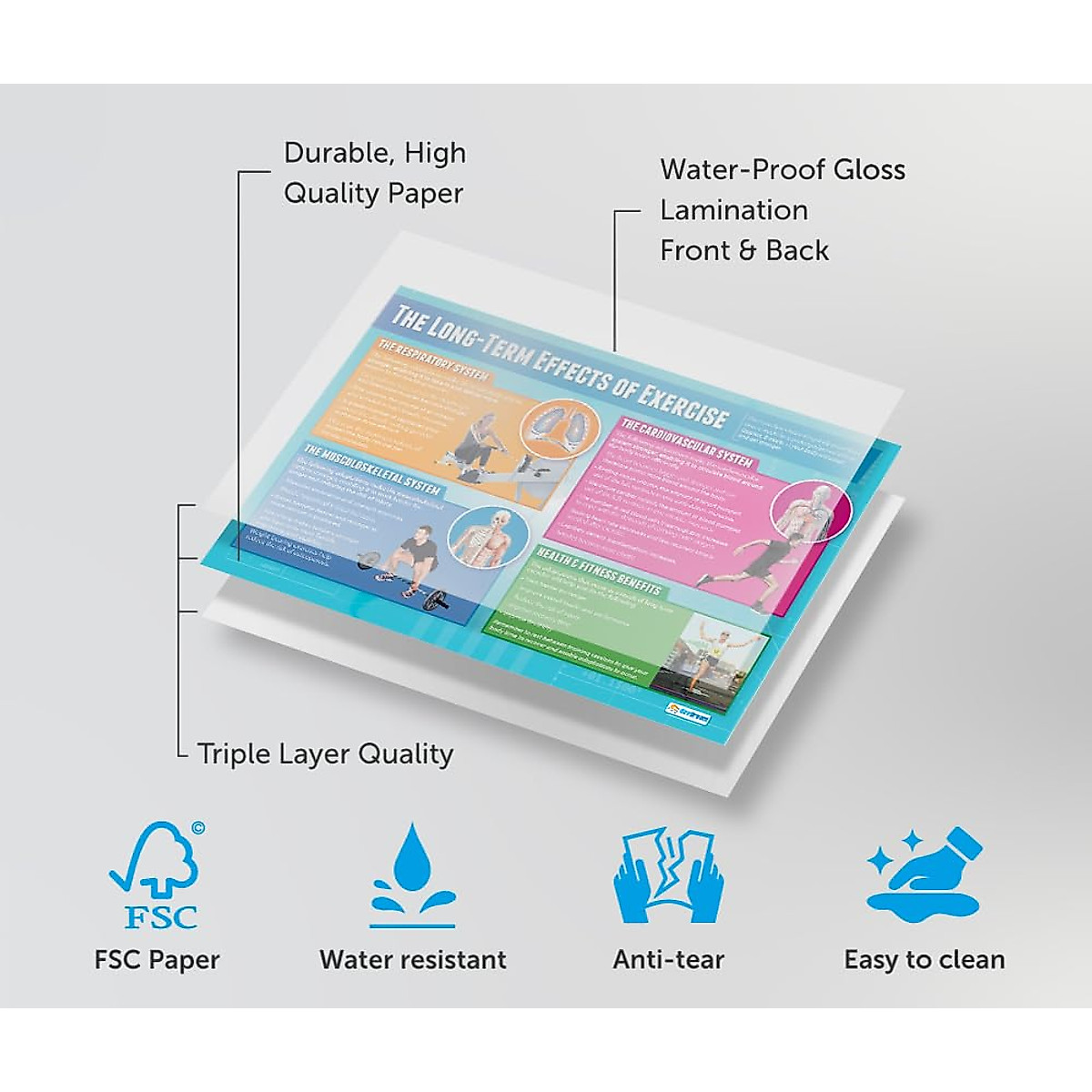 The Long-Term Effects of Exercise Classroom Poster - EXTRA LARGE 33” x 23.5” - Laminated - Physical Education Middle & High School Class Decor - Wall Charts by Daydream Education.