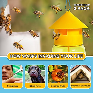 ITISBLTN 2 Packs Wasp Trap – Extra Large Yellow Jacket Trap Reusable Outdoor Hanging Ground Bee Wasps Killer Traps for Outside Garden, Patio, Backyard, Camping