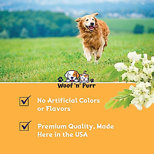 Natural Yeast Infection Treatment for Dogs - Helps to Support Itching Relief, Allergy Relief, Inflammation Relief & More - Itch Relief for Dogs - Dog Ear Infection Treatment - Dog Itch Relief - 1 oz