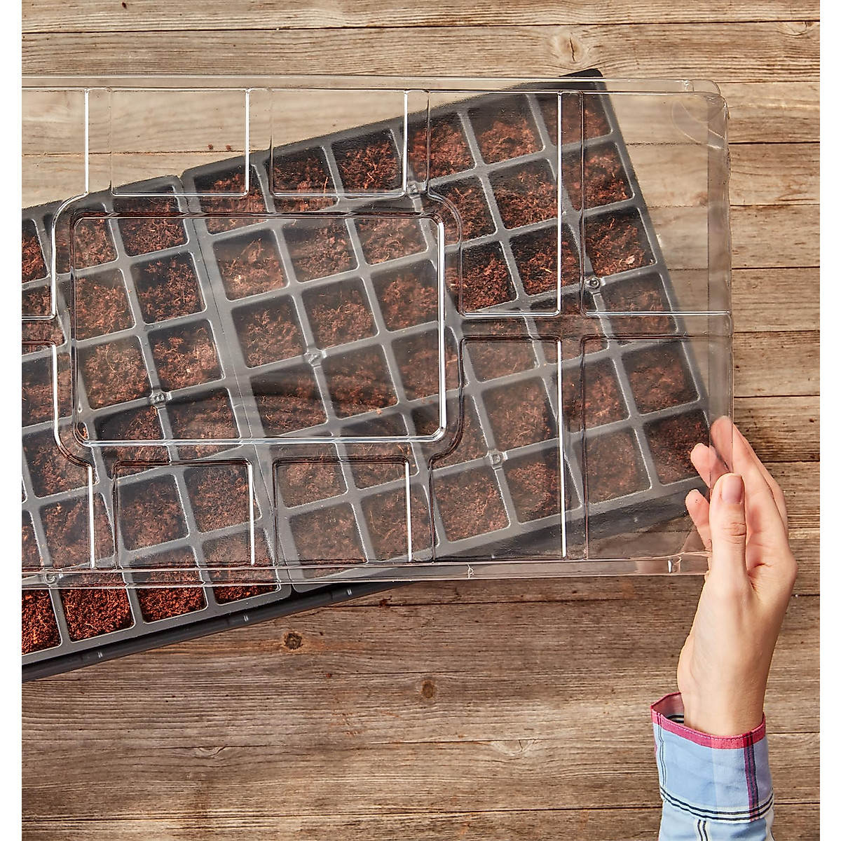 Burpee Self-Watering Seed Starter Tray, 72 Cells