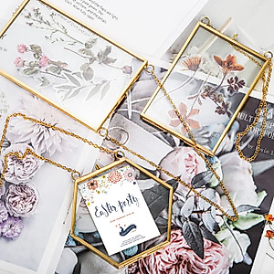 AVLA 3 Pack Pressed Flowers Glass Frames, Brass Hanging Picture Frames with Chain, Small Golden Floating Photo Frame, Clear DIY Artwork Display Frame for Wall Decor, Dried Plant Specimen