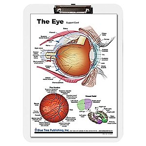 Eye Insert clipboard