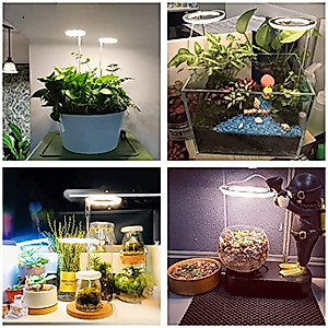 Atrusu Grow Lights for Indoor Plants, Full Spectrum Plant Grow Lights with 3 Head, Plant Halo Lights for Succulent Plants Growth, Seeding, Nepenthes, Idea for Small Plant Home Office