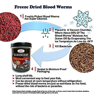 Blood Worms 0.5 oz -100% Natural Freeze Dried Blood Worms - Aquarium Fish Food - High Protein Food for Betta Fish, Food for Goldfish, Food for Cichlid, Food for Guppy, Food for Discus, Food for Turtle