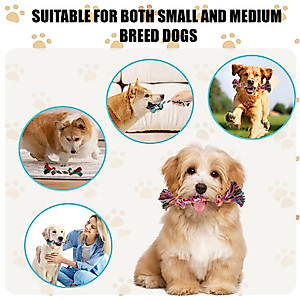 eggigi 60 Pcs Multi Color Knot Rope Dog Chew Toys Puppy Rope Toy Dog Tug of War Toy Chew Toys for Small and Medium Dogs Puppies