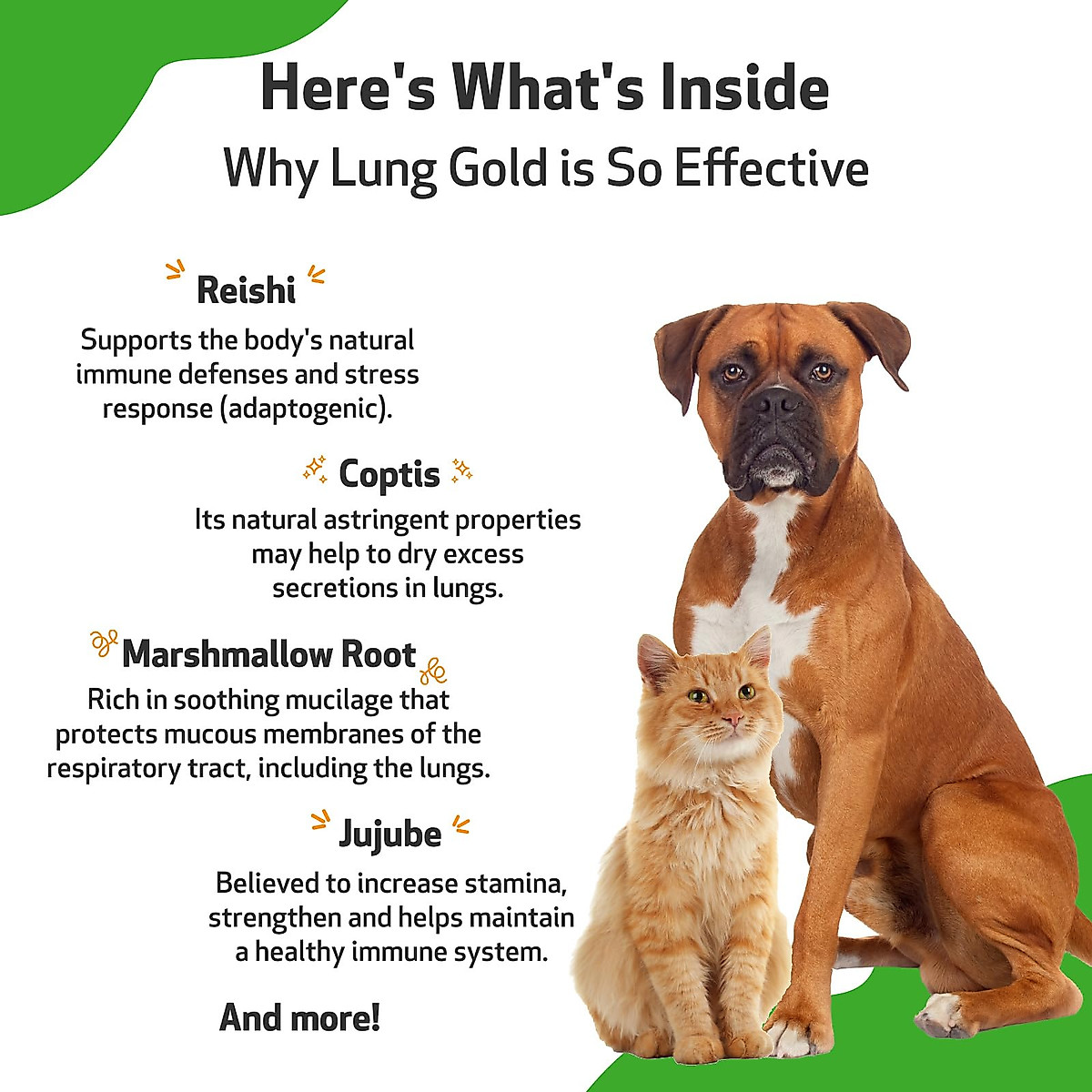 Pet Wellbeing Lung Gold for Dogs & Cats - Vet-Formulated - Lung & Respiratory Immune Support, Open Airways, Easy Breathing - Natural Herbal Supplement 4 oz (18 ml)