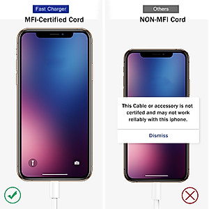 Fun Gift USB C to Lightning Cable MFi Certified 6FT Fast Charging Type c to Ligh tning Cable Fast Charger Power Delivery for iPhone 16 15 14 13 12 11 Pro Max Xr Xs X 8 and More