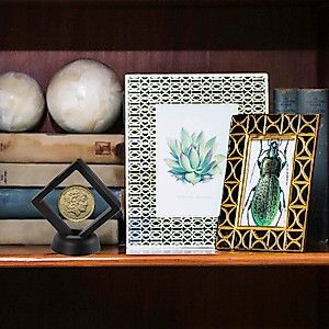 Coin Holder Ornament Display Stand 10-Piece Set – Challenge Coin Display Jewelry Holder – Elegant Black Clear Display Case Protects Against Dust, Splashes