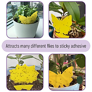 Sticky Fruit Fly Trap, 13 pcs, Fungus Gnat Sticky Trap with Shovel, Fly Traps for Indoors and Outdoor, Fruit Fly Killer, Gnat Sticky Traps for Plants, Fungus Gnat Killer