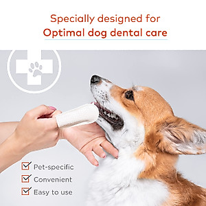 ARCA PET Dental Finger Wipes for Dogs - 50 Wipes - Vet Formulated Dog Dental Teeth Cleaning Wipes for Dogs - Pre-Soaked Oral Cleaning Pads- Reduces Plaque, Tartar & Dog Breath Freshener