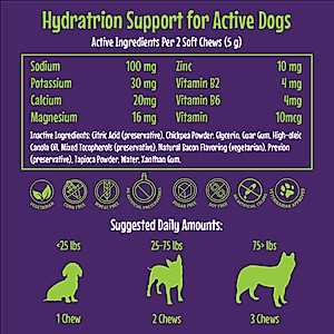 Pawlific Electrolyte Chews for Dogs- Superior Pet Hydration Support, Anti-Diarrhea, and Dog Vitamins | All-Natural Ingredients, Made in the USA | 3-Month Supply for Active Dogs