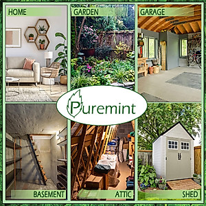 Puremint Spider Repellent, Natural 5% Peppermint Oil Spray, Kills & Deters All Types of Spiders and Insects, Indoor and Outdoor Use, 128 fl oz Gallon