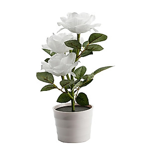 Solar Pot LED Light Rose Table Lamp 3 Lights LED Flexible Desk Lamp for Room Decoration (White)
