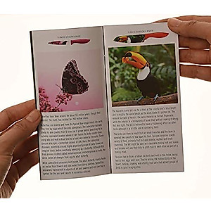 CHEF'S VISION Wildlife Knife Set Bundle With BEHOLD Wall-Mounted Magnetic Holder Silver