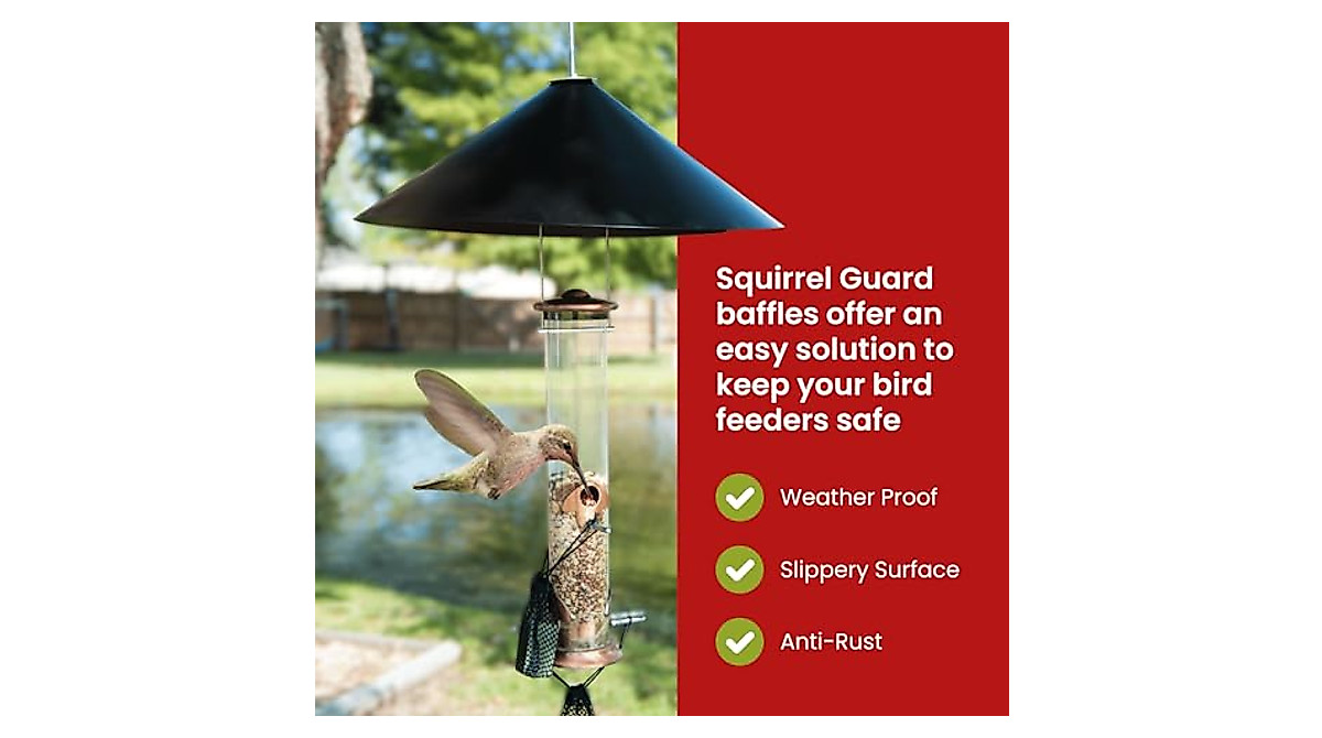 Predator Guard Squirrel Baffle - Protects Hanging Bird Feeders and ...