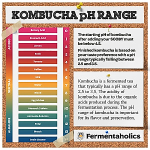 Kombucha pH Test Strips - pH Range 0-6 | 100 Test Sticks | Instant Read | Food Service, Brewing and Fermentation Test Strips