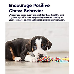 Petstages Orka Mini Dental Dog Chew Toys - 3 Pack