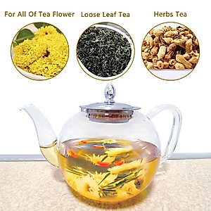 Jitejoe Glass Teapot 40oz,1200ml Glass Tea Kettle with Removable Infuser for Loose Leaf Tea,Thickened Glass Teapot with Infuser for Stove Top,Premium Tea Pot Microwave & Stovetop & Dishwasher Safe