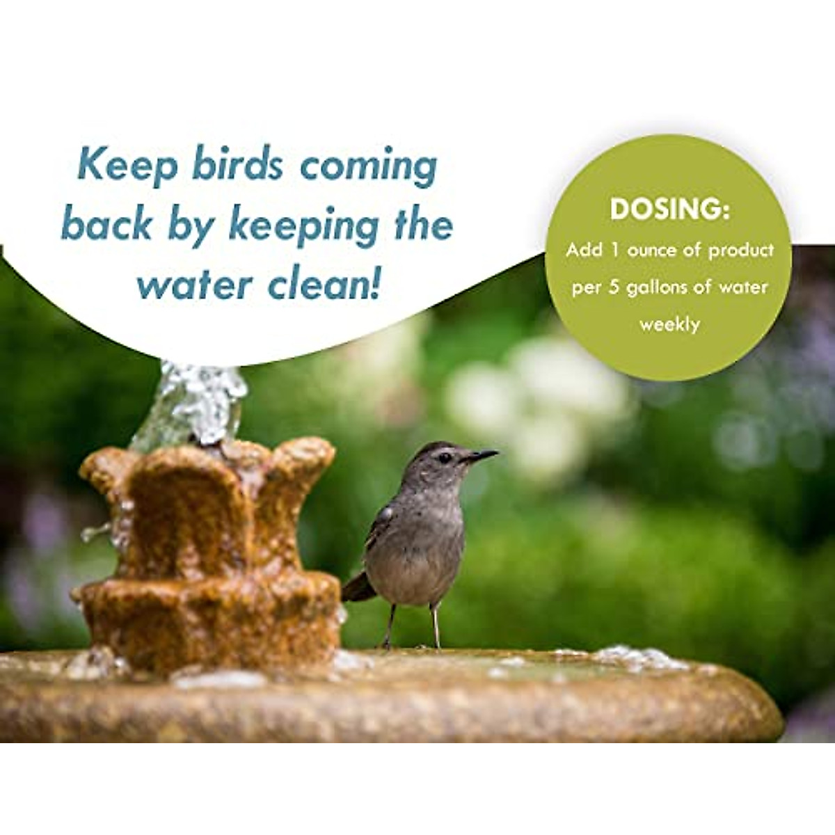 Bird Bath & Fountain Maintenance - (8 Ounces) - Fast-Acting Enzyme-Based Formula Will Extend The Life of Your Water Feature, Aid in Maintaining a Balanced Ecosystem - Safe for All Birds & Animals