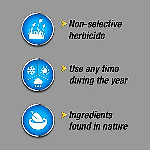 Pulverize PWG-UT-128 Grass Ready to Use Weed Killer, 1 Count (Pack of 1), Clear