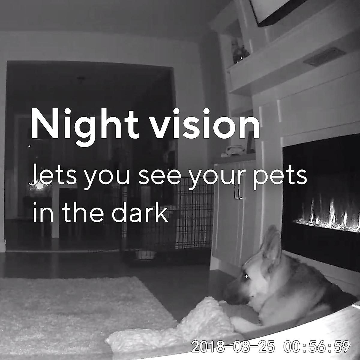 WYZE Cam Pan 1080p Pan/Tilt/Zoom Indoor 360° Pet Monitoring Camera 32GB MicroSD Card Class 10