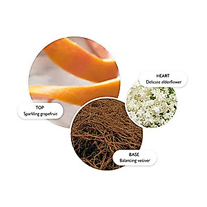 Molton Brown Vintage With Elderflower Hand Lotion 10 fl. oz.