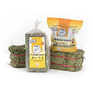 Grandpa's Best Orchard Grass Bale, 40 oz