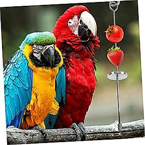 Parakeet Toys 4 pcs Food Tube Include Pet Fruit Fork Vegetable Basket Practical Bird Pick Skewer Supply Home Stainless Steel Creative Holder Hanging Parrot Parrots Treat Mesh Cockatiel Toys
