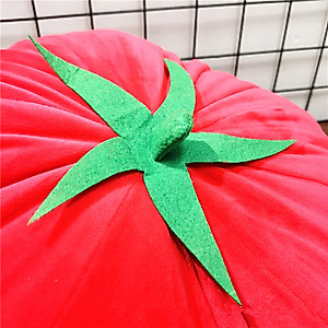 REXCHI Simulation Delicious Tomato Pillow Soft Cute Plush Cushion Office Home Decoration Birthday Gift