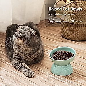 TAMAYKIM Tilted Ceramic Raised Cat Bowls, 8 OZ Food and Water Bowl Set for Cats, 5 inch Porcelain Elevated Stress Free Feeding Pet Dish, Dishwasher and Microwave Safe, 2 Pack (White & Mint Green)