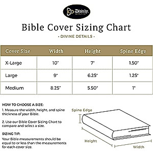 Divinity Boutique for I Know XL Bible Cover, Multicolor