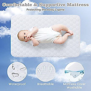 INFANS 3 in 1 Baby Bassinet, Bedside Sleeper with Comfy Mattress, Wheels, 6 Height Adjustable, Storage Basket, Travel Bag, Portable All Mesh Crib for Newborn Infant (Gray)