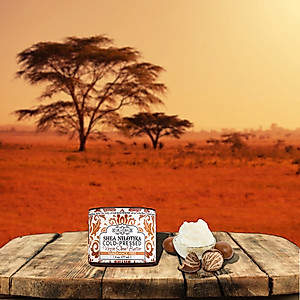 Shea Terra Organics 100% Organic Cold-Pressed Virgin Shea Butter – Fragrance-Free | Natural Anti-Aging Daily Skin, Nails & Hair Cream to Soften Dry Skin, Reduce Wrinkles & Stretch Marks – 6 oz