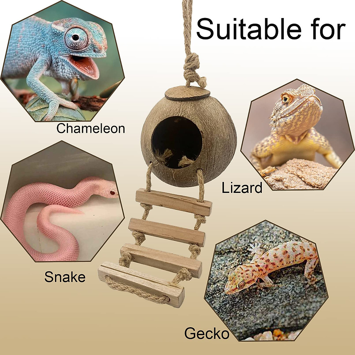 MUYG Crested Gecko Coconut Hut with Ladder,Natural Bearded Dragon Coco Den Reptile Shell Hideout Husk Hut Climbing Plants Leaves Tank Accessories for Lizard Chameleon Snakes