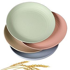 CAMBUY Wheat Straw Plates Lightweight Unbreakable Dinner Dishes Plates Set Dishwasher & Microwave Safe (Extra Large 4 Pack 10')