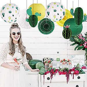 Cactus Party Decorations, Hawaiian Party Supplies Tropical Cactus Hanging Paper Lanterns Cactus Honeycomb Tissue Paper Fans for Llama Birthday Summer Party Home Decoration (Green)