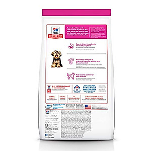 Hill's Science Diet Dry Dog Food, Adult, Small Paws for Small Breed Dogs, Chicken Meal & Rice, 4.5 lb. Bag