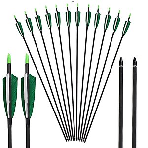 Huntingdoor Pure Carbon Arrows 31inch 400spine Archery Arrows Feather Fletching Screw-in Field Points Targeting Arrows for Compound Bow Recurve Bow 6/12 Pack