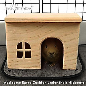 Paw Inspired Washable Guinea Pig Cage Liners | Fleece Bedding for Guinea Pigs Ferrets, Rabbits, Hamsters, Small Animals | Bamboo Charcoal Odor Controlling Absorbent Pee Pads (12" x 12", 2 ct.)